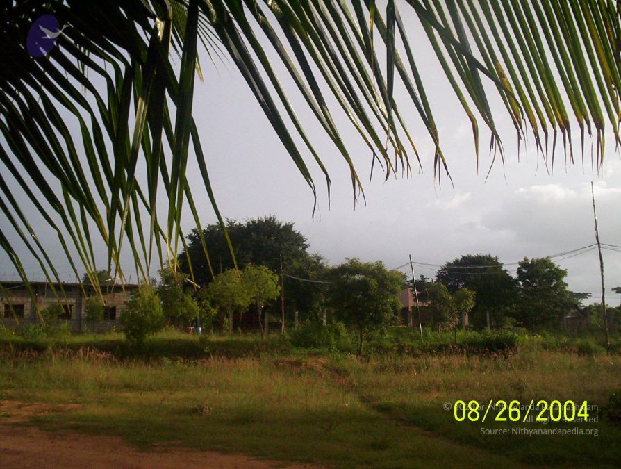 August 26 2004 - Nithyanandapedia