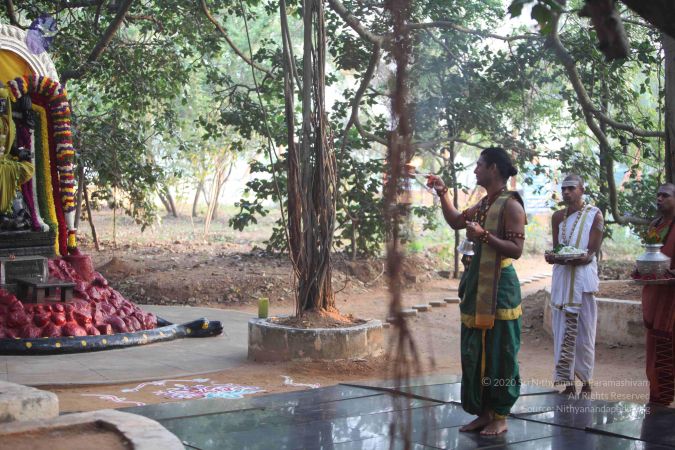 December 13 2011 - Nithyanandapedia