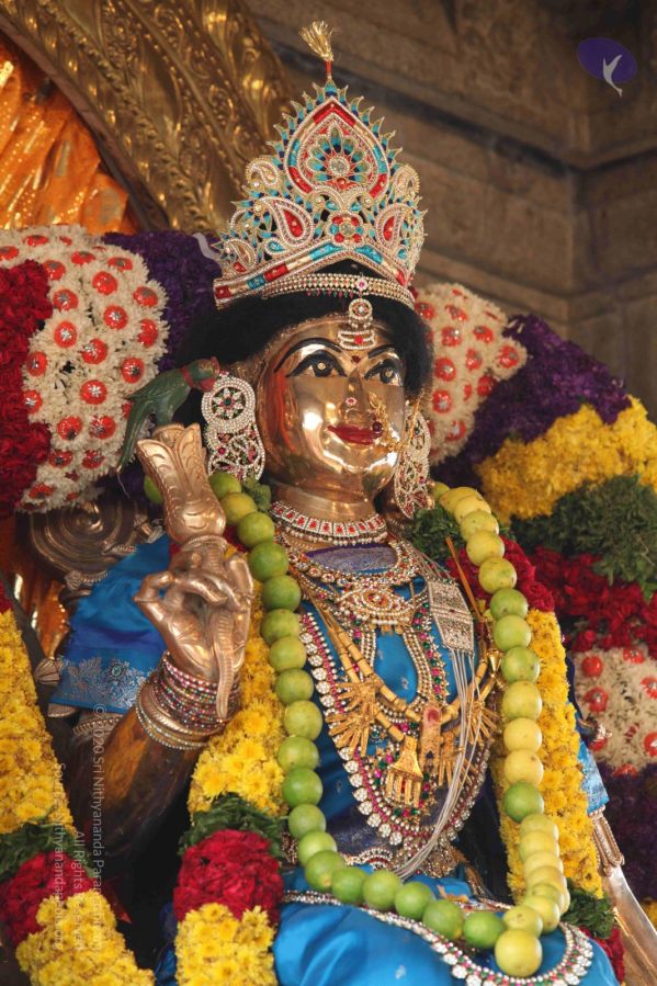 December 02 2012 - Nithyanandapedia