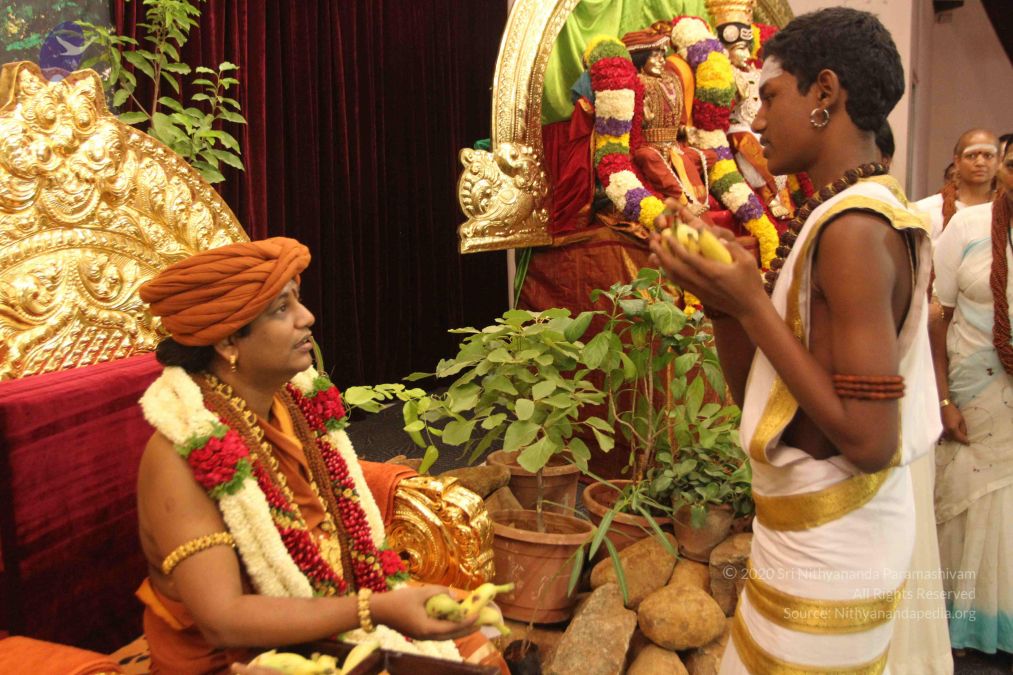 April 24 2014 - Nithyanandapedia