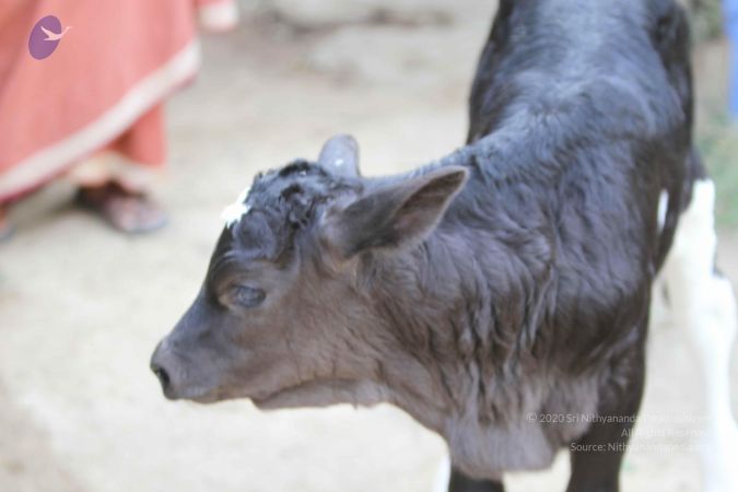 August 15 2014 - nithyanandapedia.org